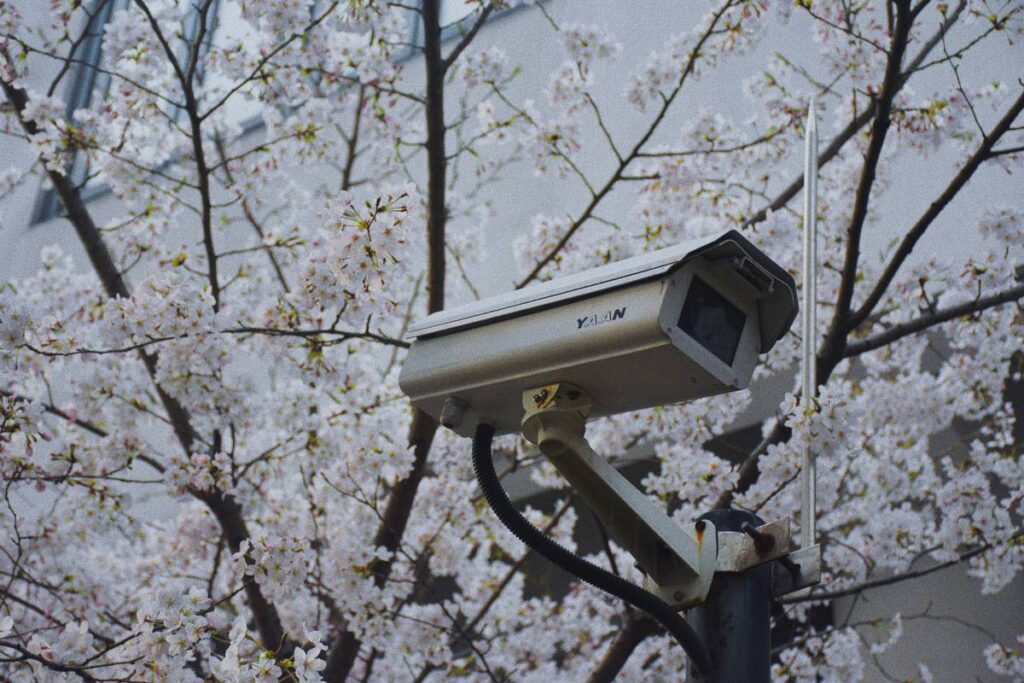 Tail Camera FAQs: Everything You Need to Know Before Hitting the Trails